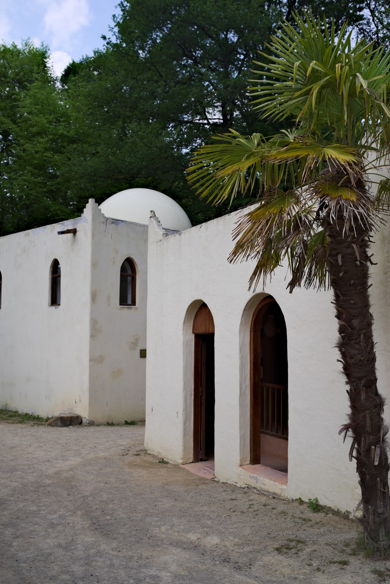 Jesus Disney • Pentaxians