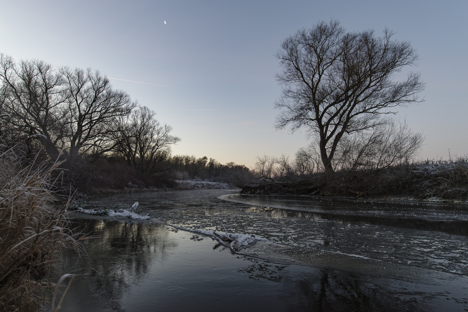 Frostig • Pentaxians